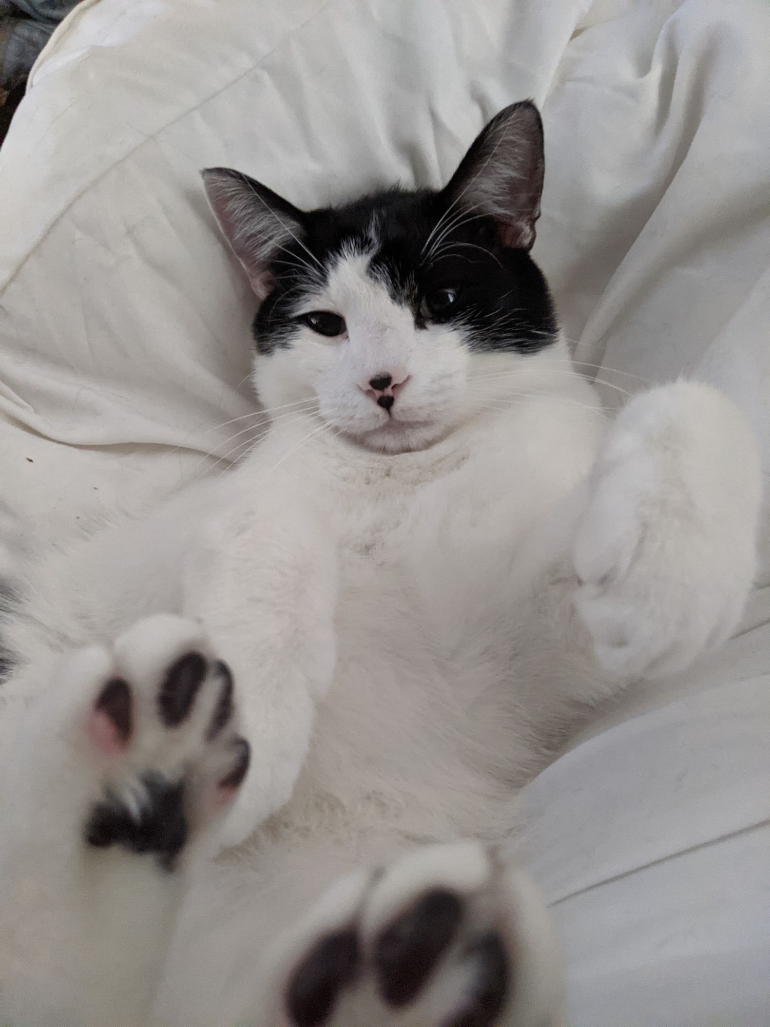 Untitled Creation - AI Generated Artwork - NightCafe Creator