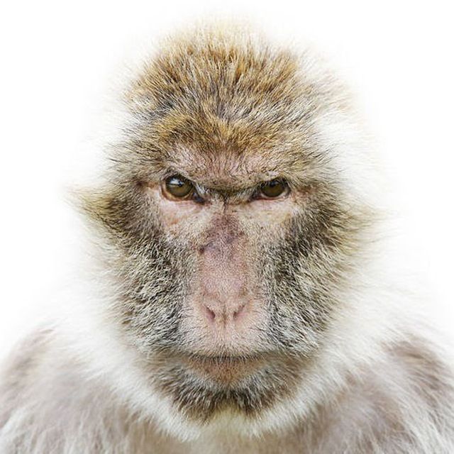 Don David - User on NightCafe Creator - NightCafe Creator