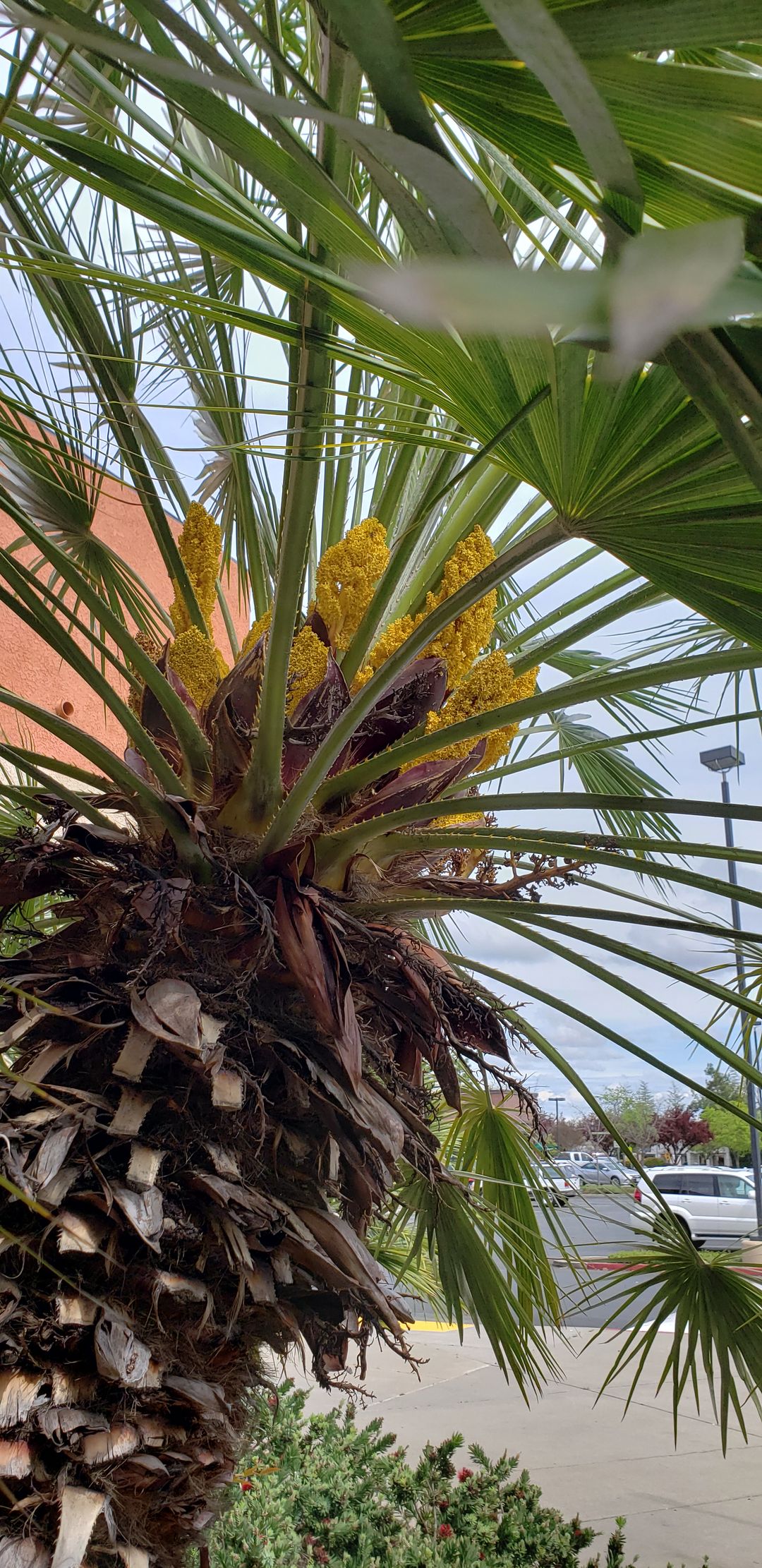 the aquamarine lagoon - Surreal Aquamarine Lagoon Scene wit...