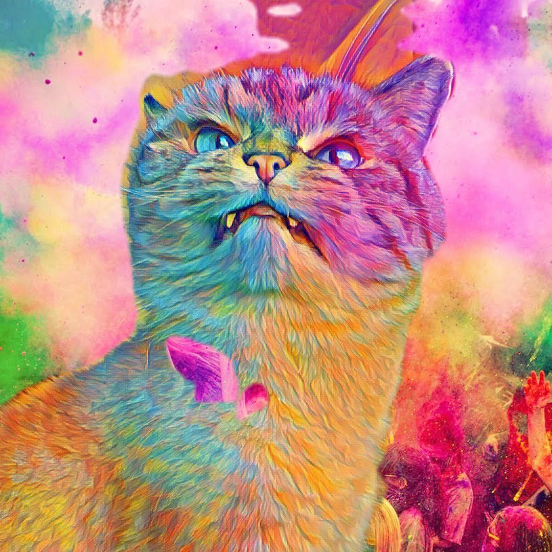 Trippy Cat Art - AI Generated Artwork - NightCafe Creator