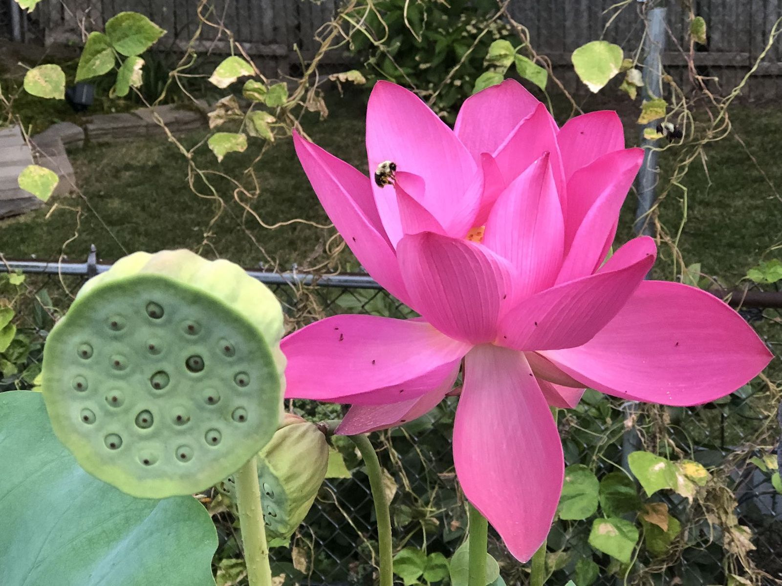 QML2024 - User on NightCafe - NightCafe