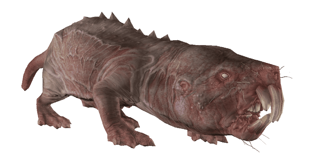 fleshy mole rat with baby head - fleshy mole rat with baby h...