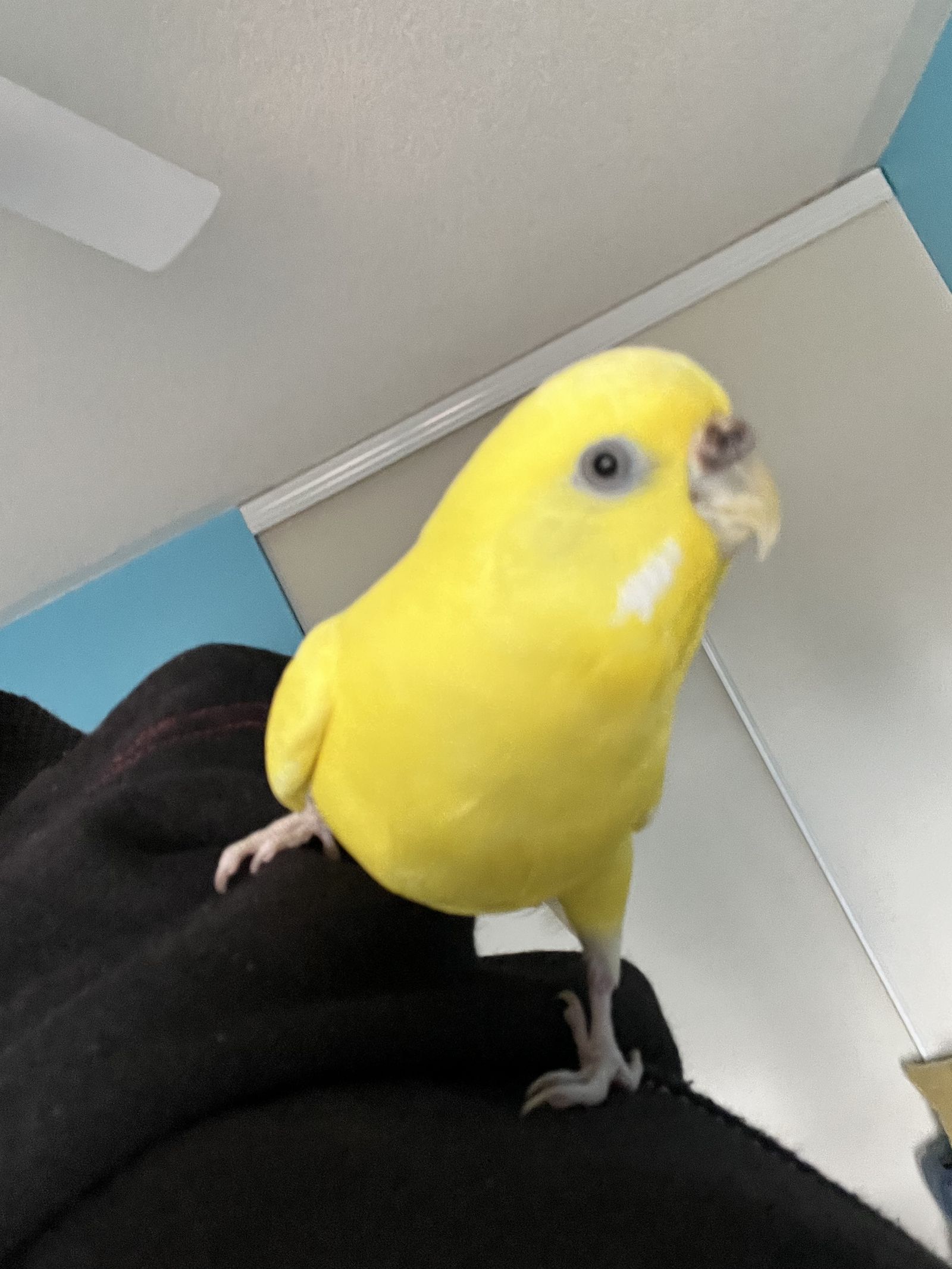 scott kosman - User on NightCafe Creator - NightCafe Creator