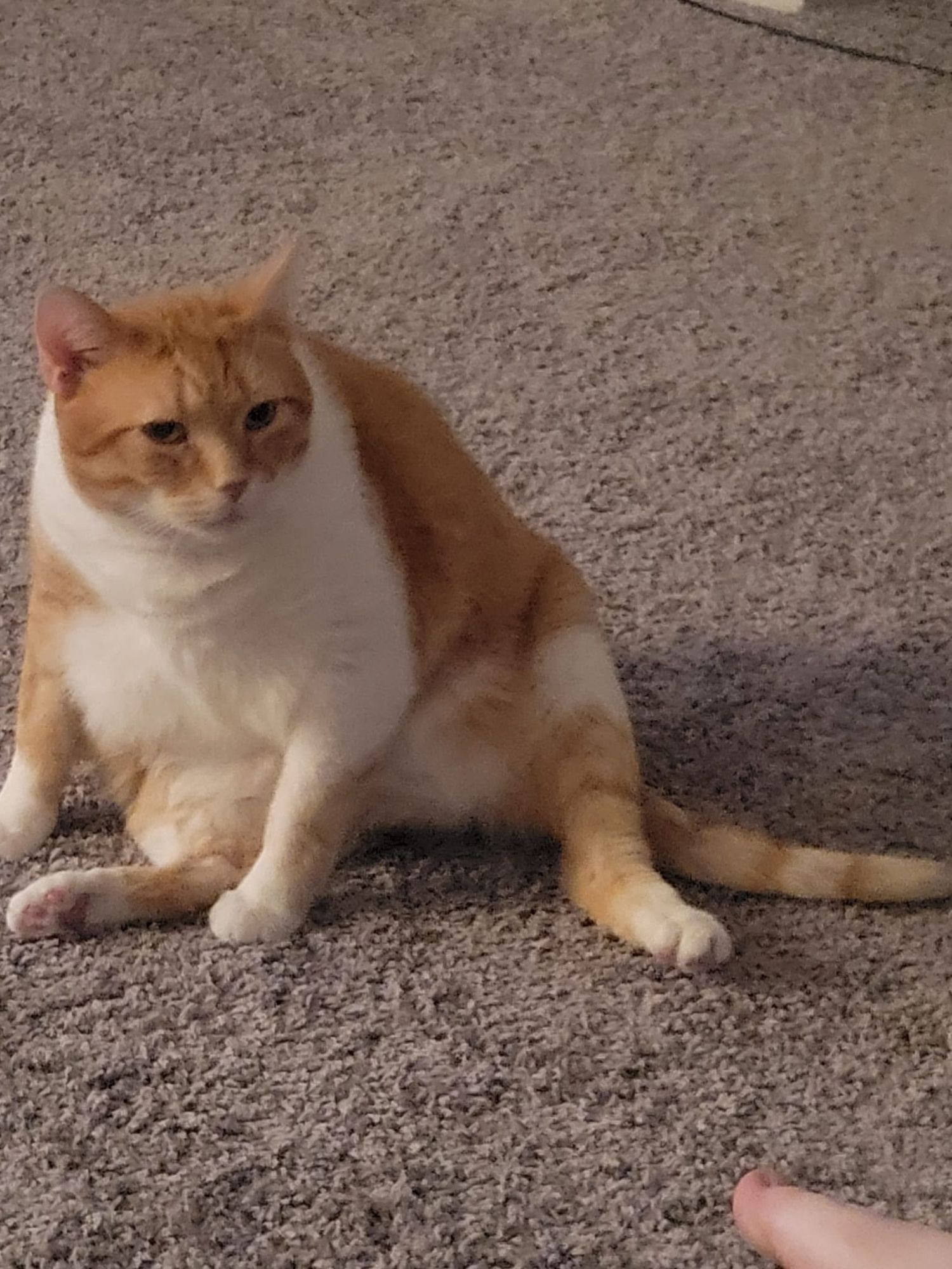 eldritch horror god beyond human comprehension - AI Generated Artwork ...