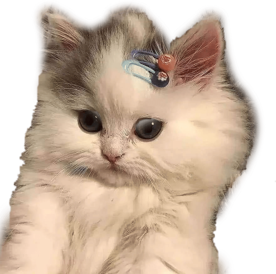 Cutie Pie Kitty User On Nightcafe Creator Nightcafe Creator